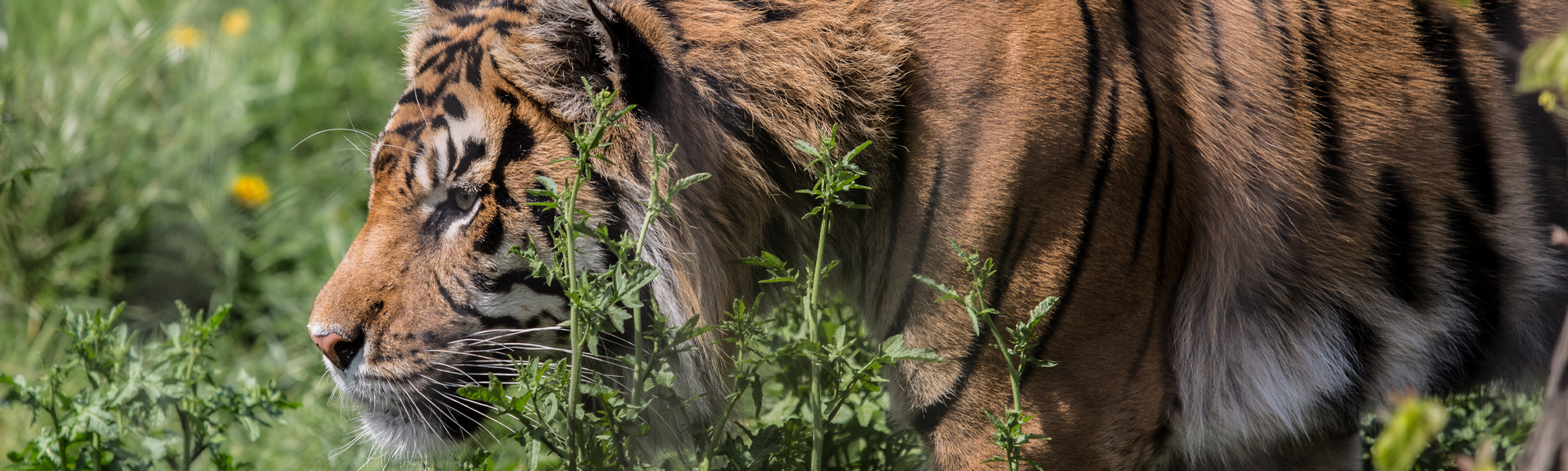ZSL London Zoo - Spectrum - Spectrum Cambridge